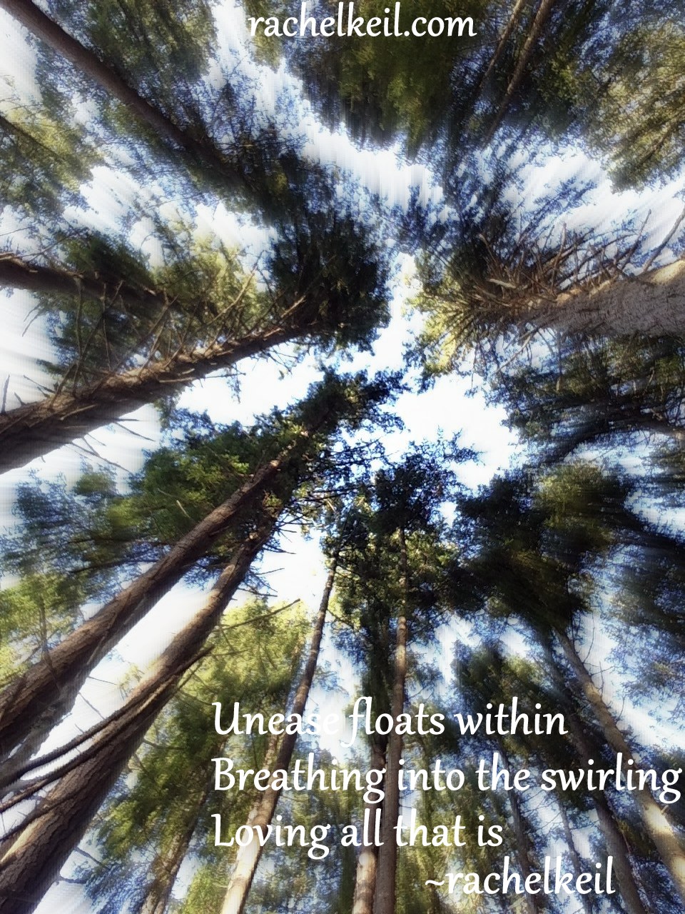 Loving All That Is – Rachel Keil