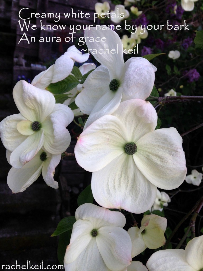 Aura of Grace | Rachel Keil