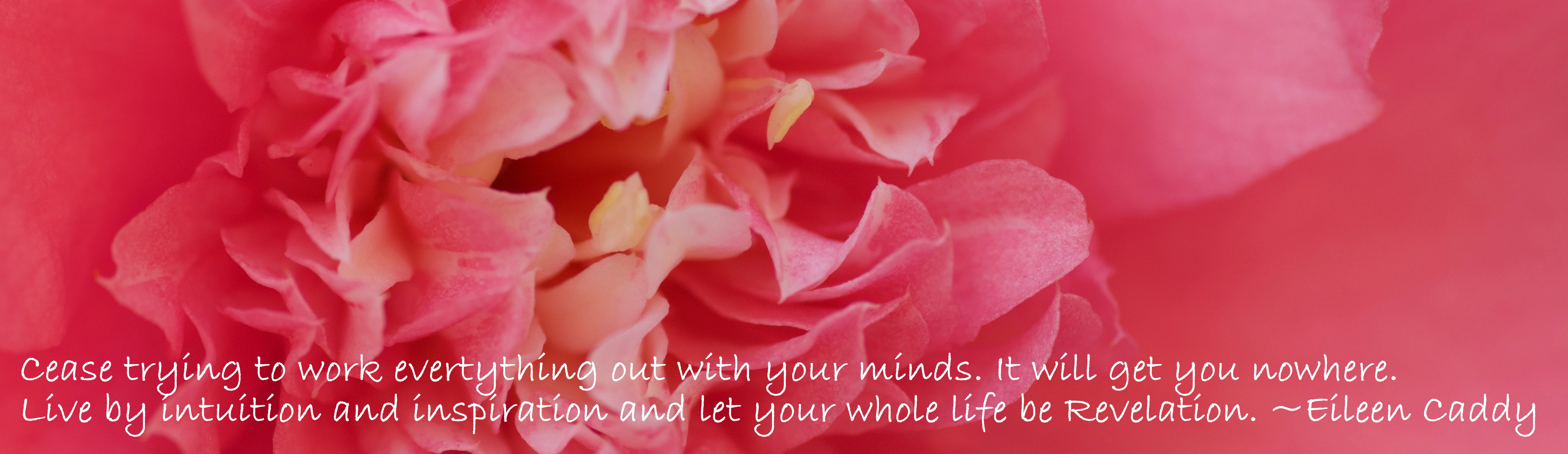 Classes – Rachel Keil