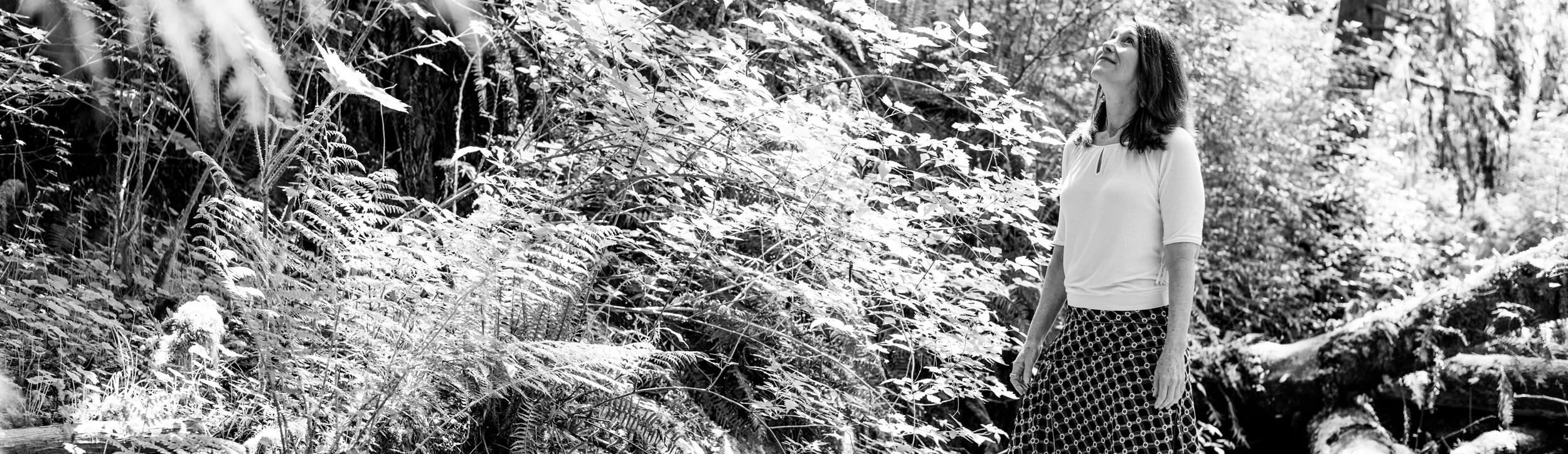 Mediumship Readings | Rachel Keil