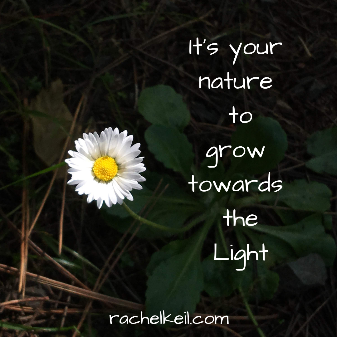 You Are Light | Rachel Keil