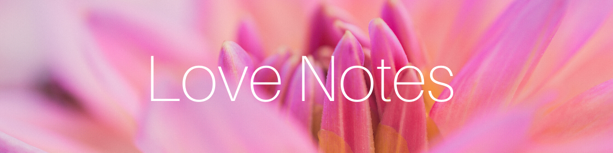 Testimonials | Rachel Keil