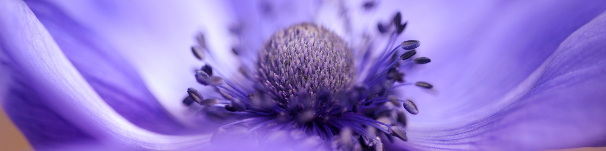 Energy Tune Up | Rachel Keil